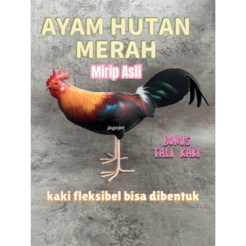 Jual Patung Jontrot Ayam Hutan Merah Jantan | Shopee Indonesia