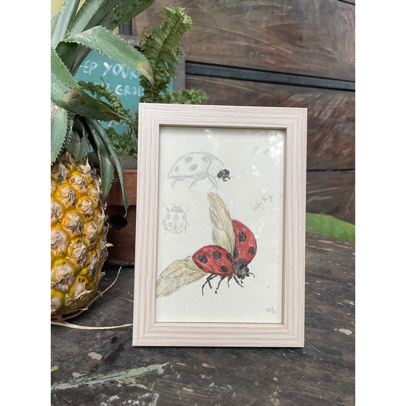 Jual Lukisan Serangga Lady Bug Original Watercolor Painting | Shopee ...