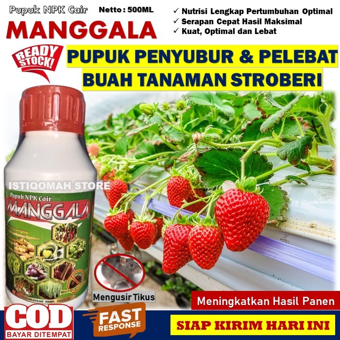 Jual Pupuk NPK Cair MANGGALA 500ML Obat Semprot Penyubur Buah Tanaman Stroberi - Pupuk Pelebat ...