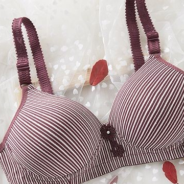 Jual BH Penyangga Dada Kecil Tanpa Kabel, Bra Ukuran Plus Tipis ...