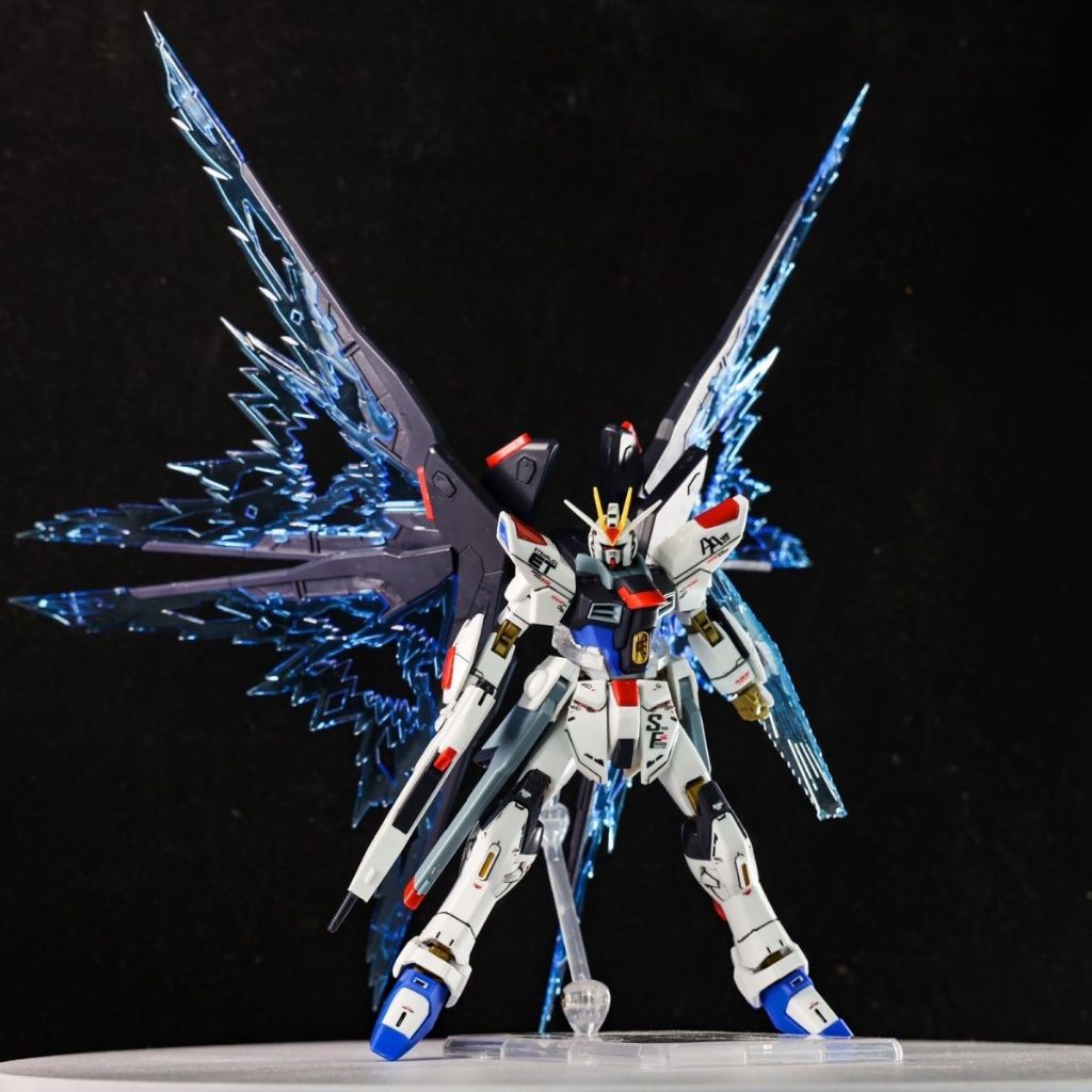 Jual Gaoke 201 HG 1/144 Strike Freedom Revive Fighter Mode Kit | Shopee ...
