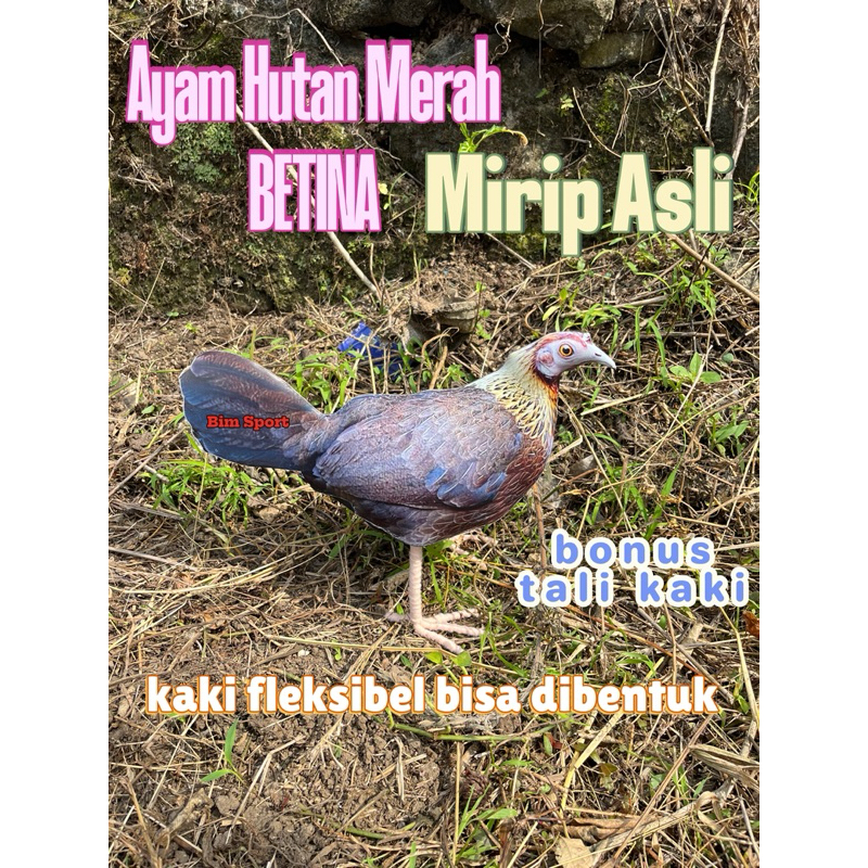 Jual Patung Ayam Hutan Merah Betina | Shopee Indonesia Jual Patung Ayam Hutan Merah Betina | Shopee Indonesia