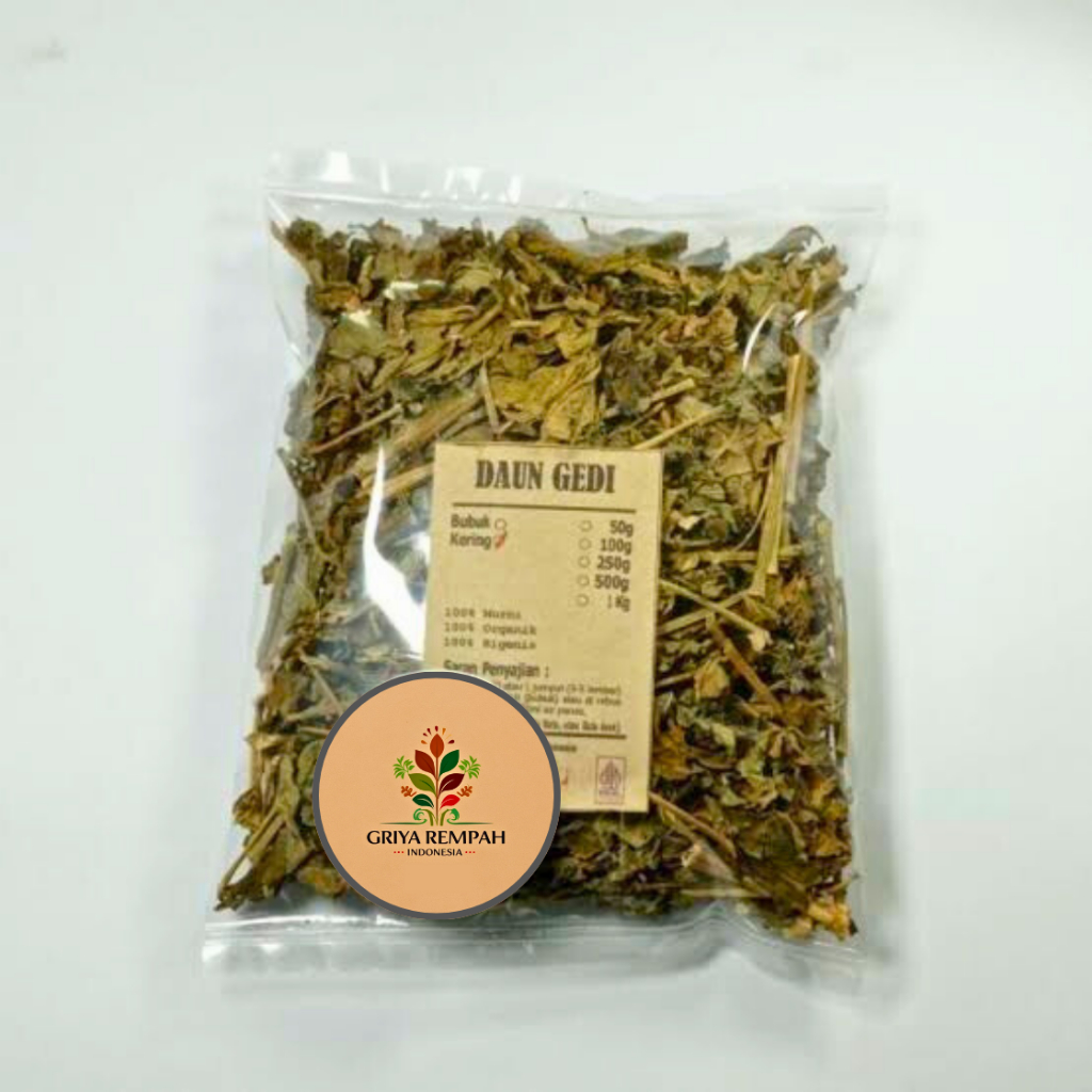 Jual DAUN GEDI KERING 500 GRAM Ramuan Rempah Herbal Pepaya Jepang Alami ...