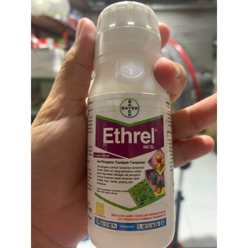 Jual Ethrel 480 SL digunakan untuk mematangkan buah pisang, nanas dan ...
