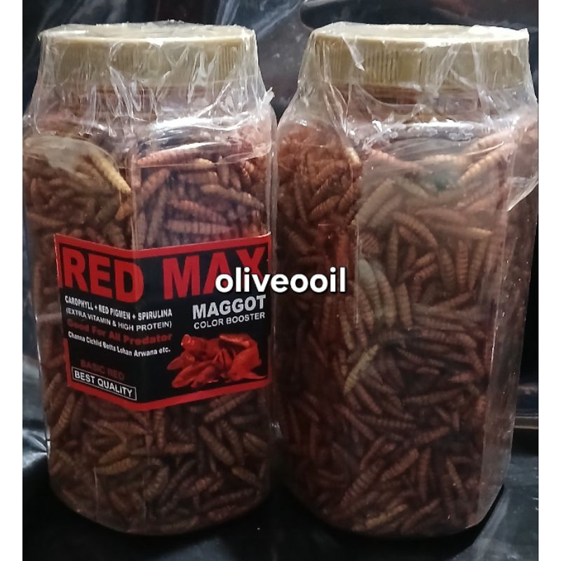 Jual MAGGOT MAGOT RED MAX COLOR BOOSTER | Shopee Indonesia