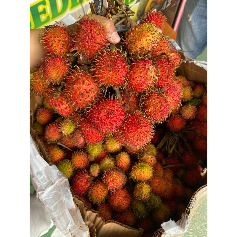 Jual Rambutan Rapiah PROMOO 1 ikat kurleb 1 kg | Shopee Indonesia
