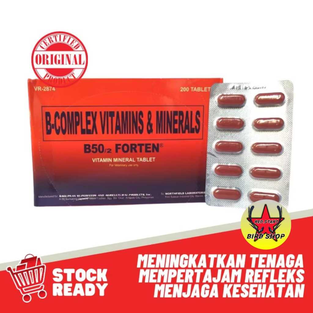 Jual B50 Forten Original Vitamin Mineral [1 STRIP 10 KAPSUL] | Shopee ...