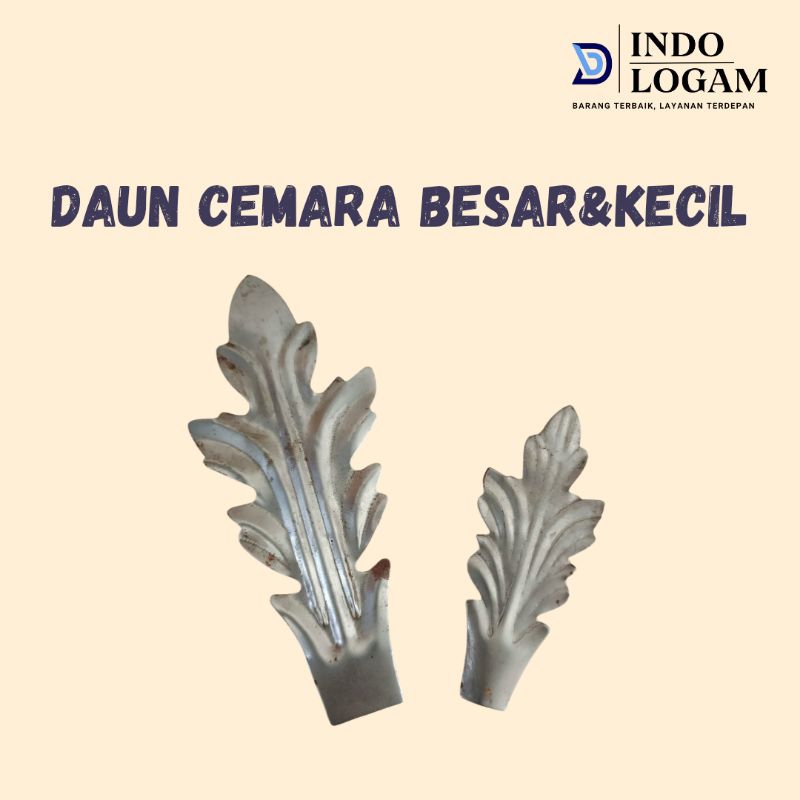 Jual Daun Cemara Besi | Shopee Indonesia