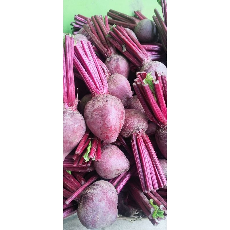 Jual Buah Bit beet root 1 kg spek supermarket | Shopee Indonesia