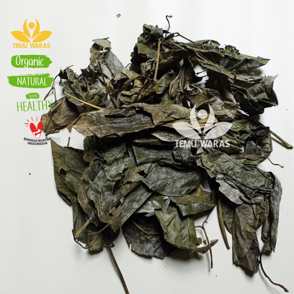 Jual Daun Sirih Hijau Kering 100gr Asli Bersih dan Organik | Shopee ...