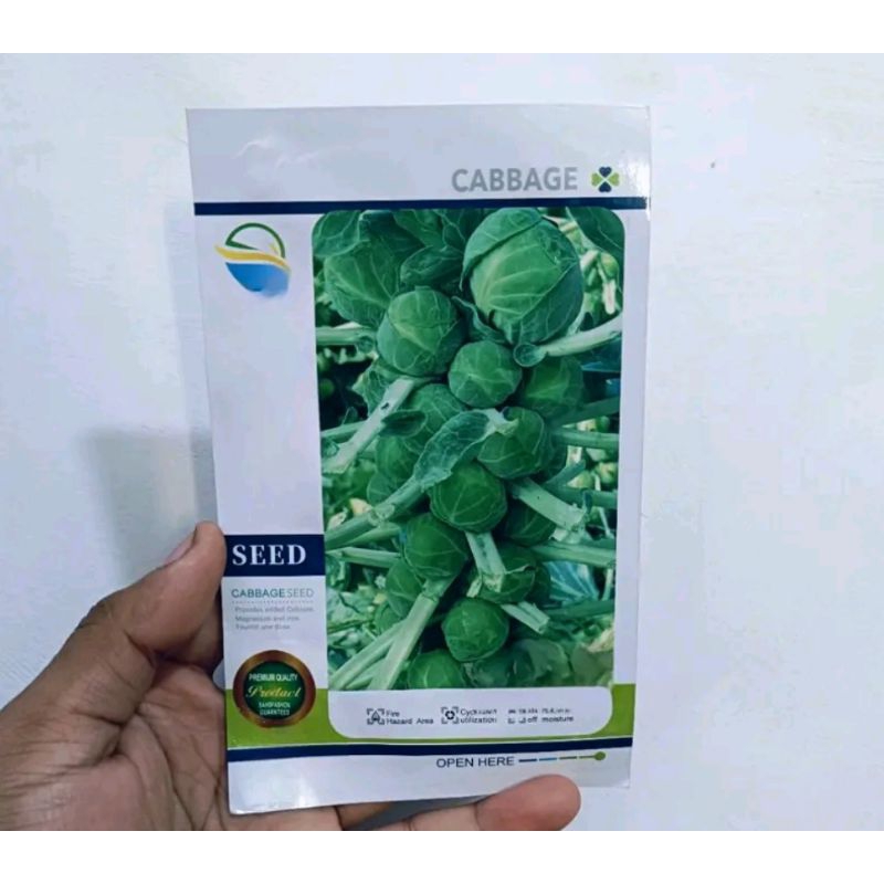 Jual benih brussel kubis mini asli kemasan korea | Shopee Indonesia