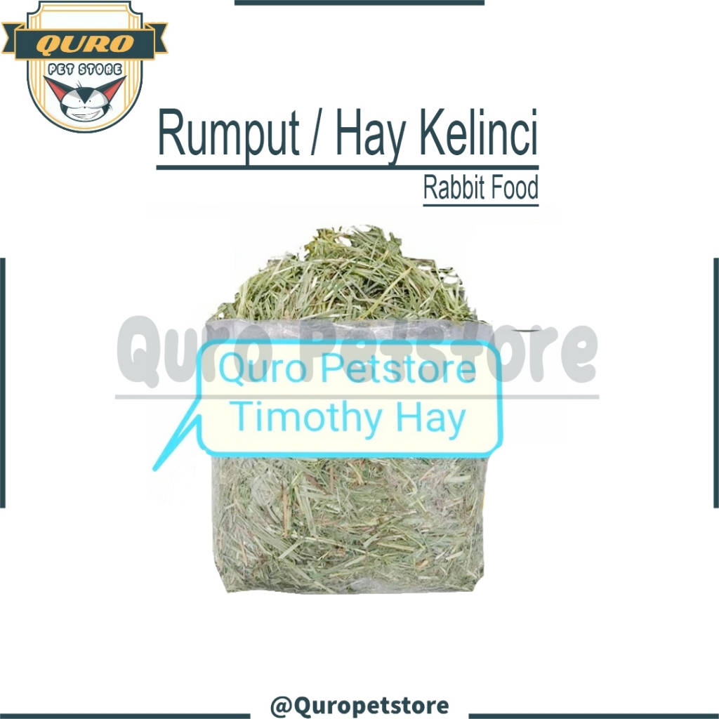Jual Timothy hay Special hay timothy hay 1kg rumput hay-makanan kelinci ...