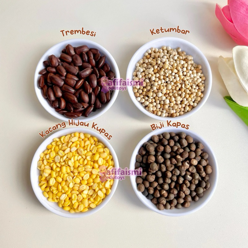 Jual Biji-bijian untuk kolase bahan kerajinan prakarya biji-bijian ...