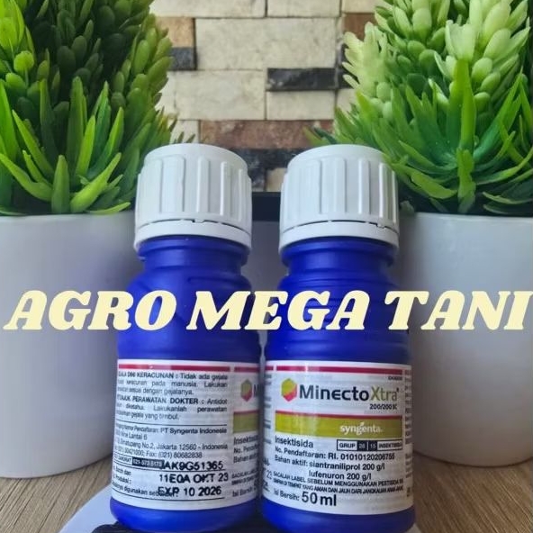 Jual insektisida Minecto Xtra 200SC 50ml | Shopee Indonesia