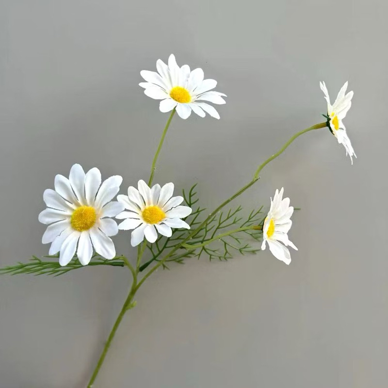 Jual Bunga aster daisy 5 cabang artificial C12 pertangkai AF030 ...