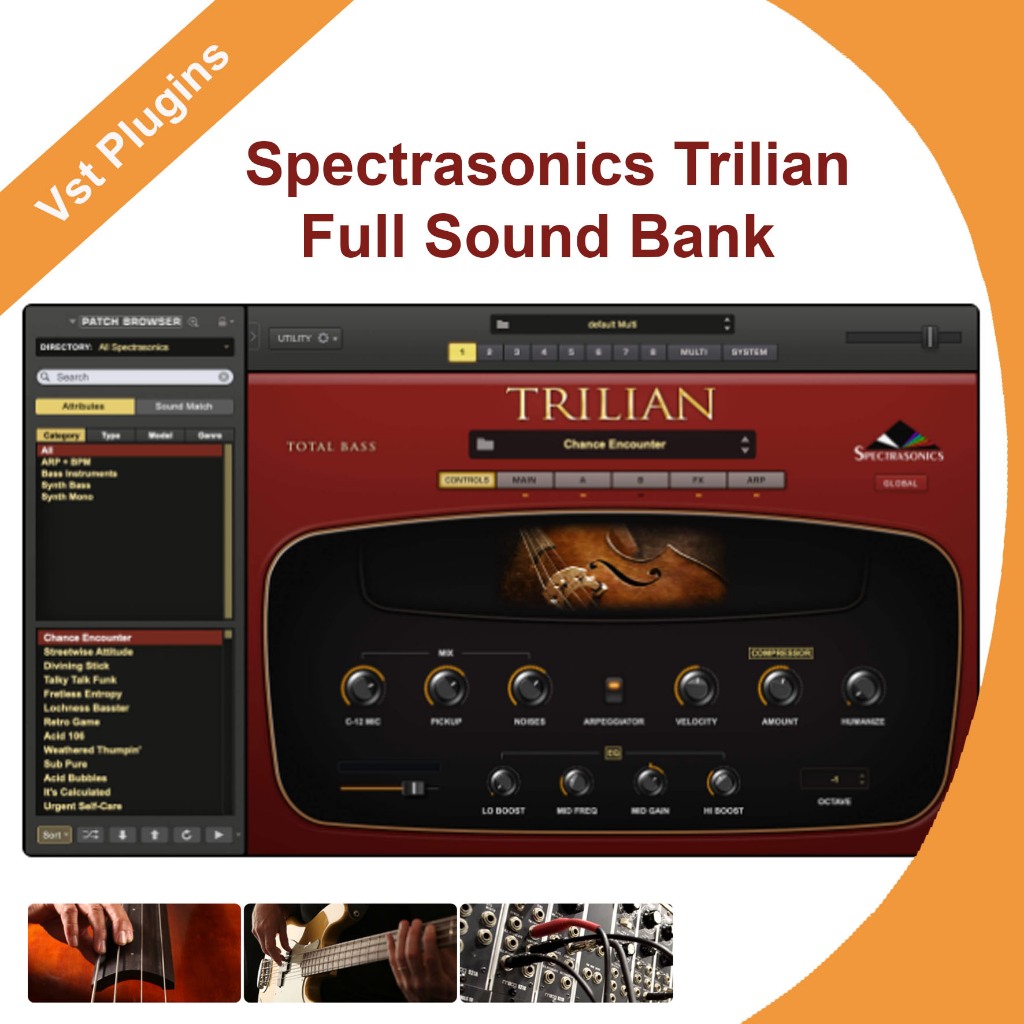 Jual Vst Plugins Spectrasonics Trilian Full Sound Bank | Shopee Indonesia