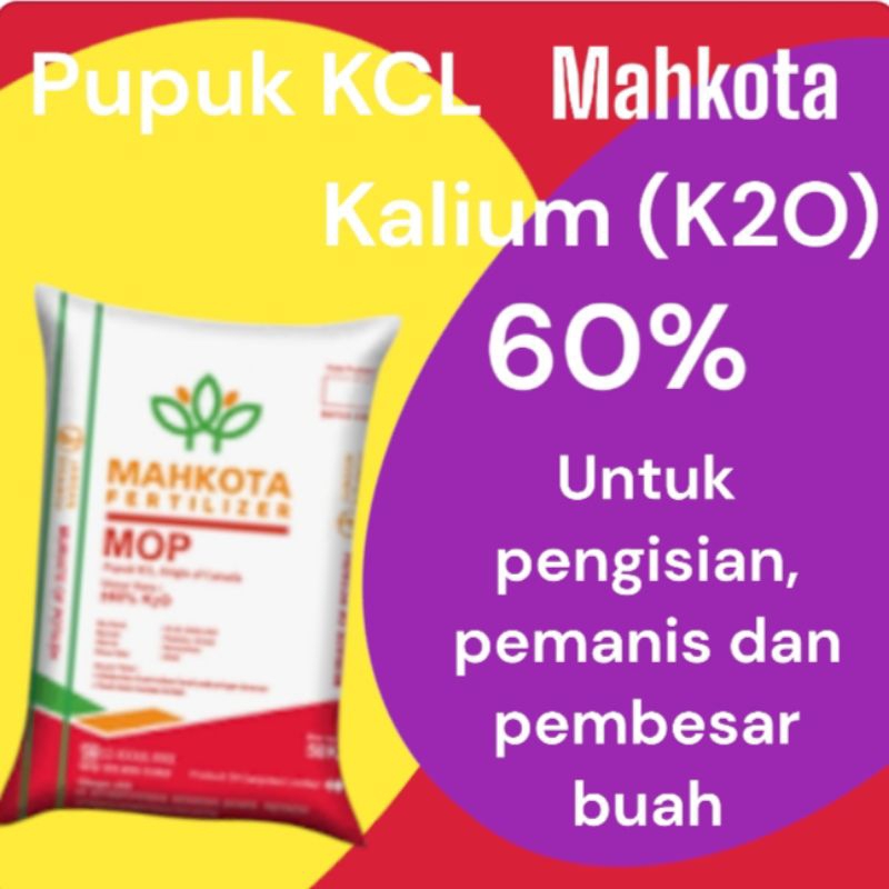 Jual Pupuk KCL - MOP Mahkota kandungan K 60% untuk pembungaan, pemanis, pengisi dan pembesar ...