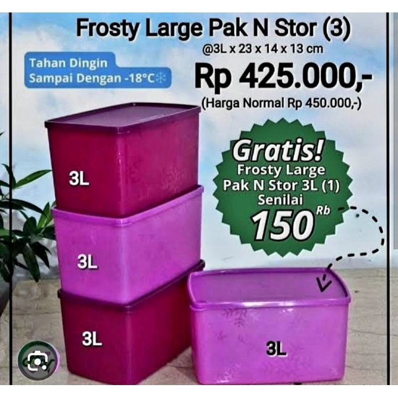 Jual Prosty large pak n stor 4pcs tupperware | Shopee Indonesia