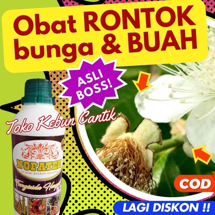 Jual Fungisida NOPATEK 500ML untuk Tanaman Jeruk, Durian, Mangga ...