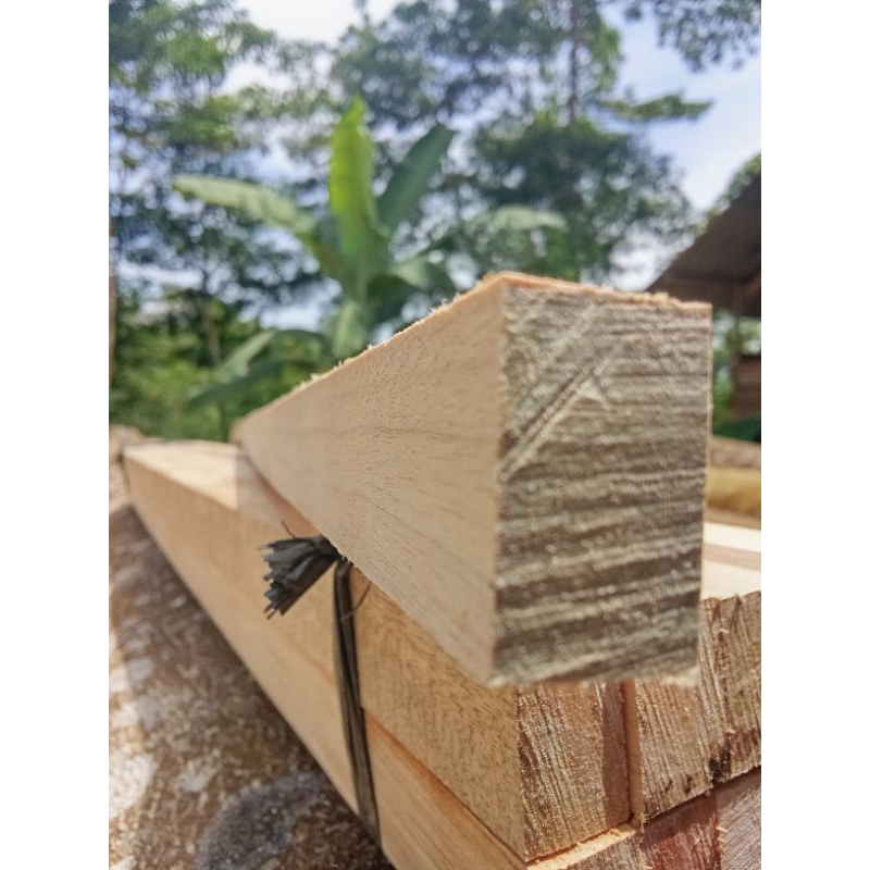 Jual list 2x3 reng kayu 2x3cm isi 10 batang panjang 200cm sudah di ...