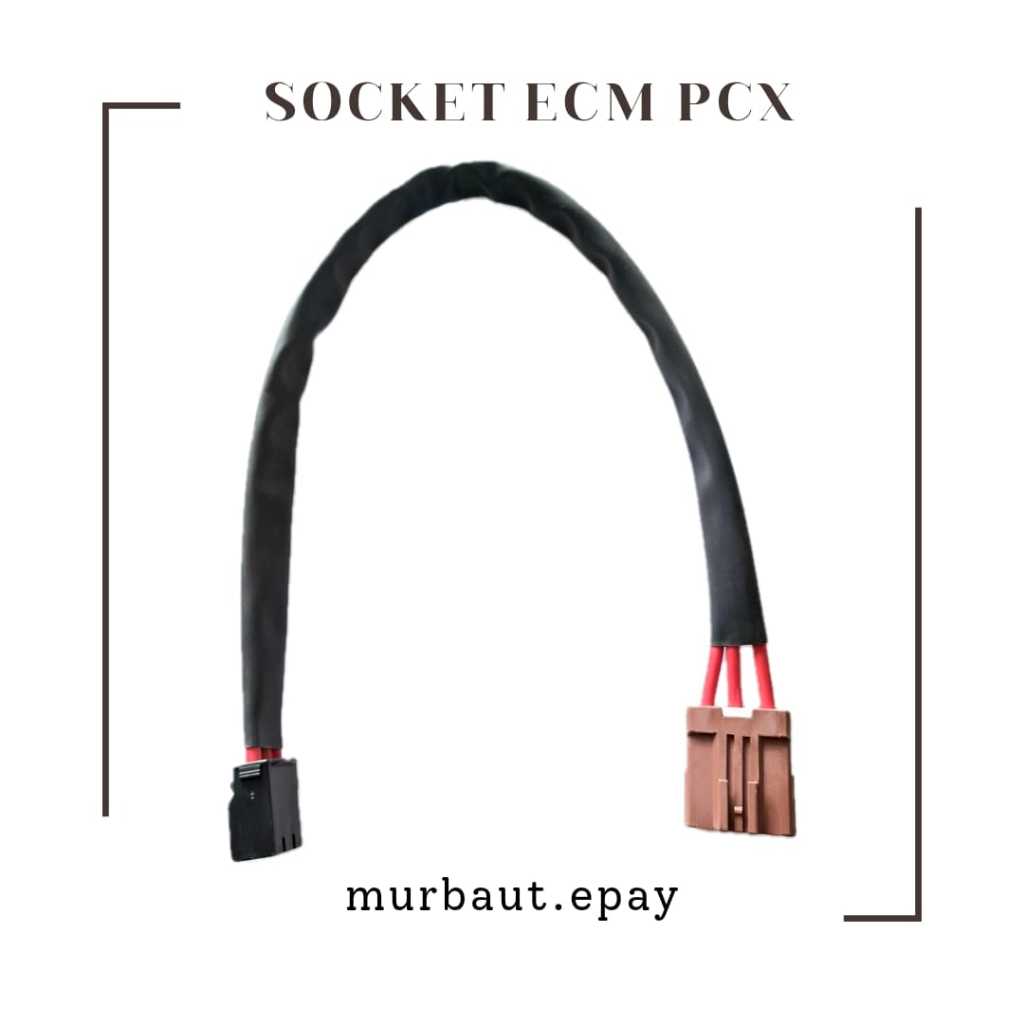 Jual SOCKET ECM PCX /SOCKET ECU PCX - 1 PCS | Shopee Indonesia