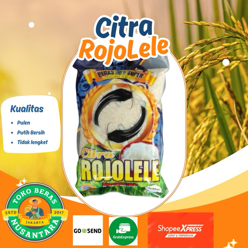 Jual BERAS Citra Rojo Lele - Beras Putih Bersih, Pulen, dan Berkualitas ...