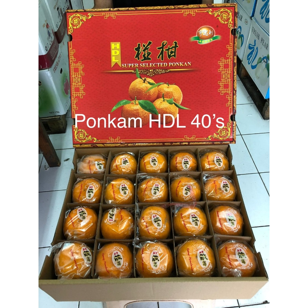 Jual JERUK PONKAM HDL 40S 8KG | Shopee Indonesia