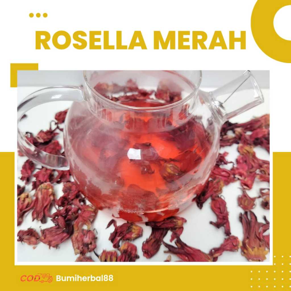 Jual Rosella Merah 100% Original Panenan Baru | Shopee Indonesia