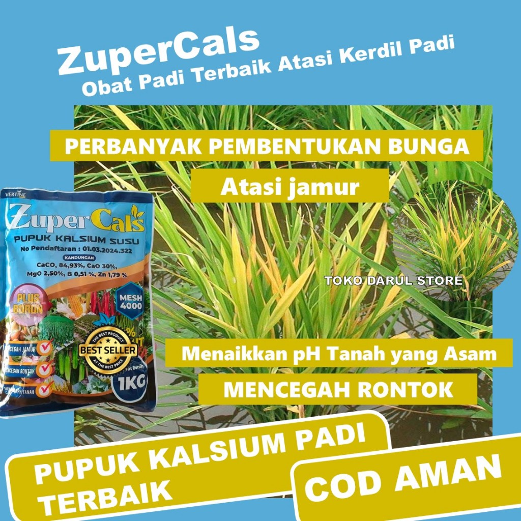 Jual OBAT PADI KERDIL DAUN KUNING TERBAIK ZUPERCALS Pupuk Padi Daun ...