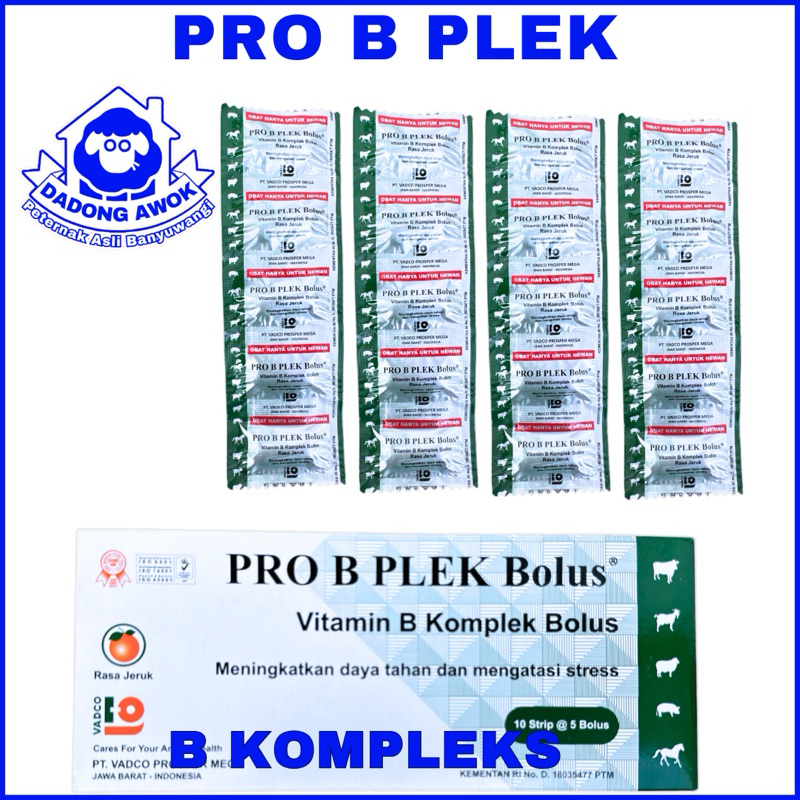 Jual PRO B PLEK BOLUS 1 strip vitamin b komplek sapi kambing ...