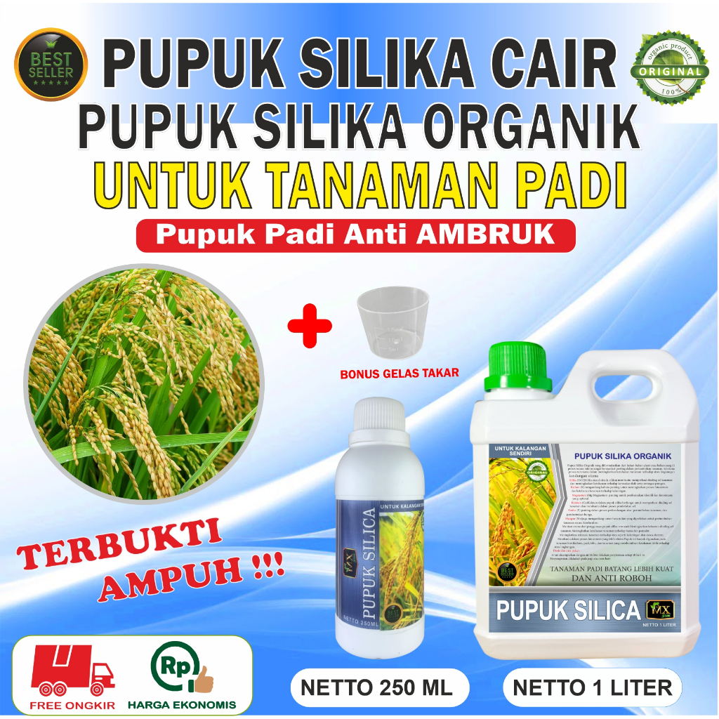 Jual PUPUK SILIKA ORGANIK CAIR UNTUK TANAMAN PADI 250ml & Silika Padi 1 ...