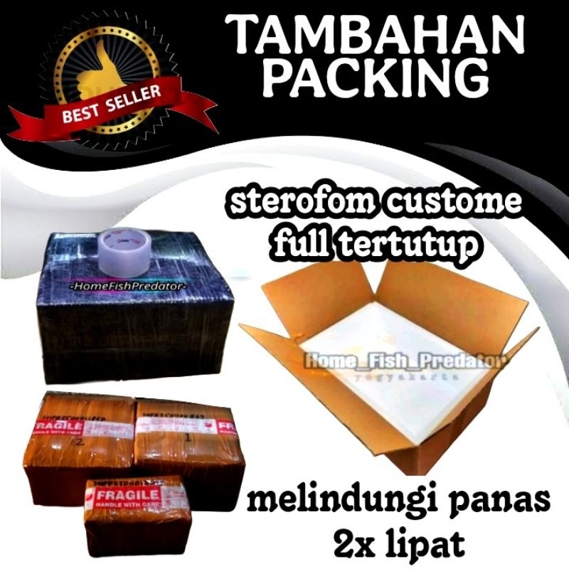 Jual PACKING> sterofom custom,melindungi dari panas! | Shopee Indonesia