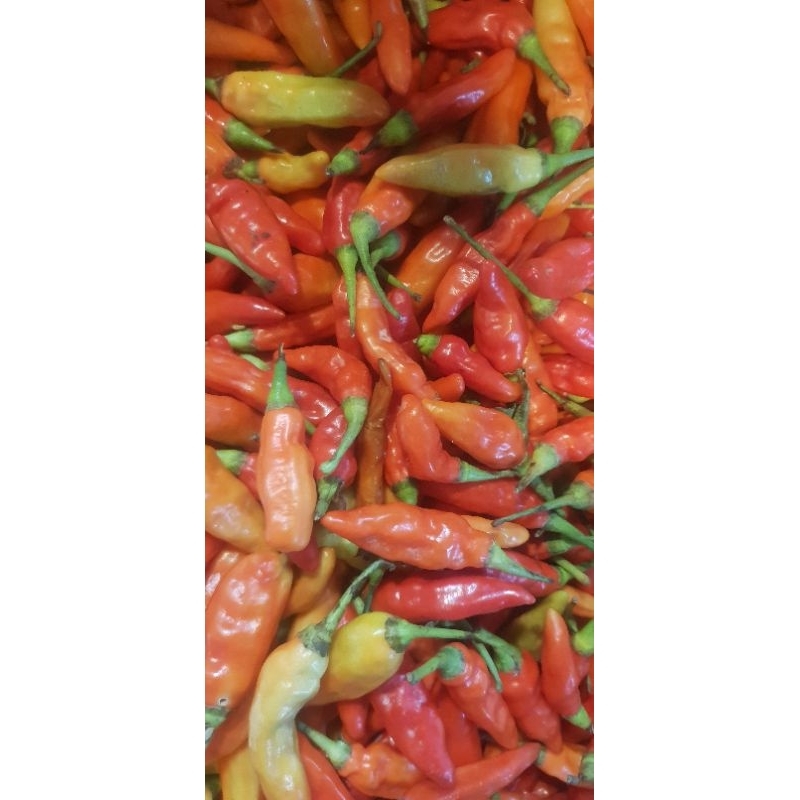 Jual Cabe rawit merah 100 g | Shopee Indonesia