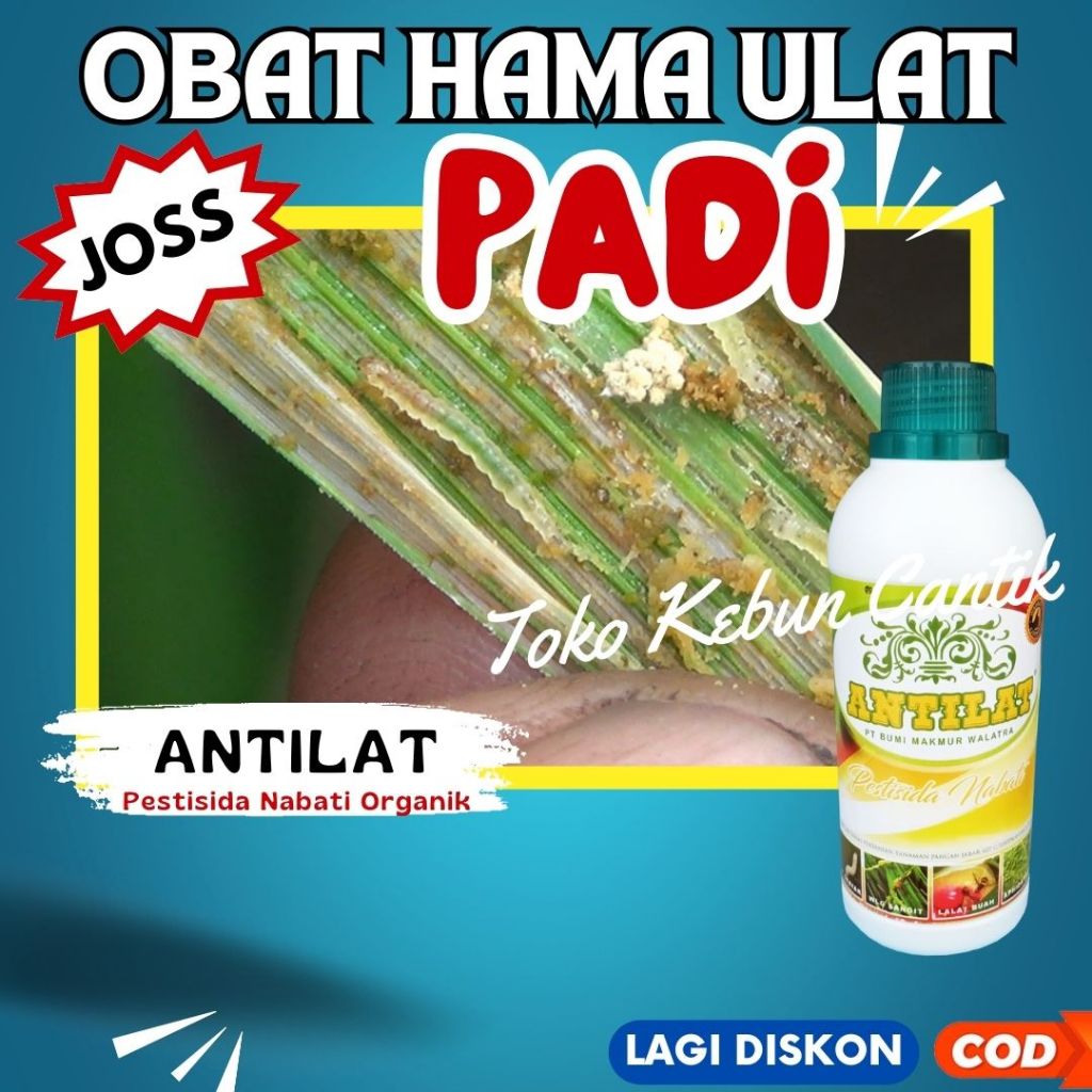 Jual Obat Hama Ulat ANTILAT 500ML – Solusi Terbaik untuk Mengatasi ...