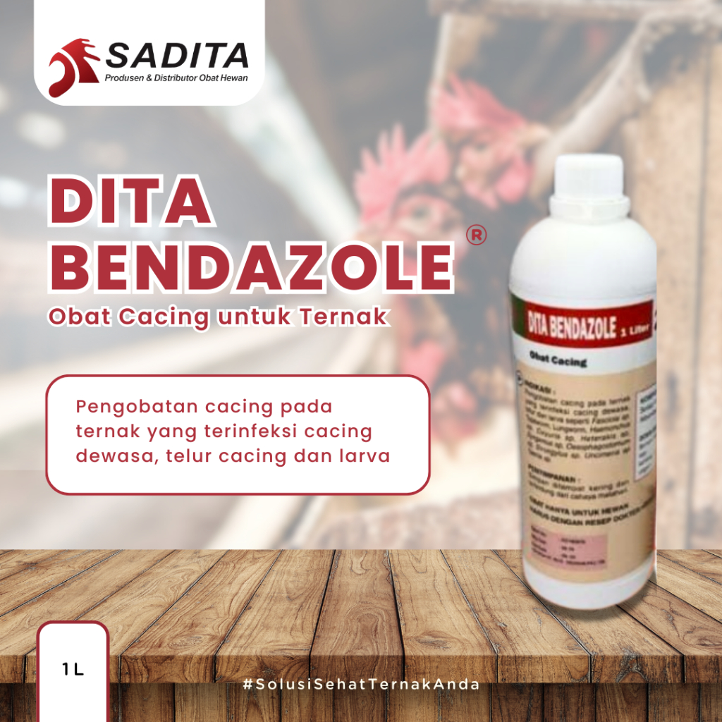 Jual Dita Bendazole 1L - Obat Cacing untuk Ternak | solusi efektif ...