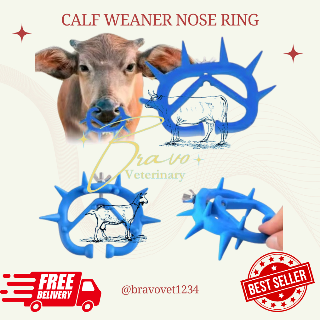 Jual Alat Penyapih Anak Sapi, Kerbau, Kuda / Calf Weaner Nose Ring ...