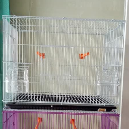 Jual SANGKAR BESI OCTAGON 1 DUS ISI 6PCS UNTUK TERNAK BURUNG KENARI ...
