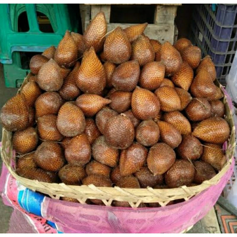 Jual BUAH SALAK PONDOH 1KG ASLI SLEMAN | Shopee Indonesia