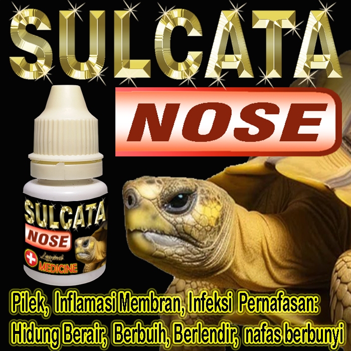 Jual SULCATA NOSE OBAT CENTROCHELYS SULKATA PILEK MENGOBATI PENYAKIT ...