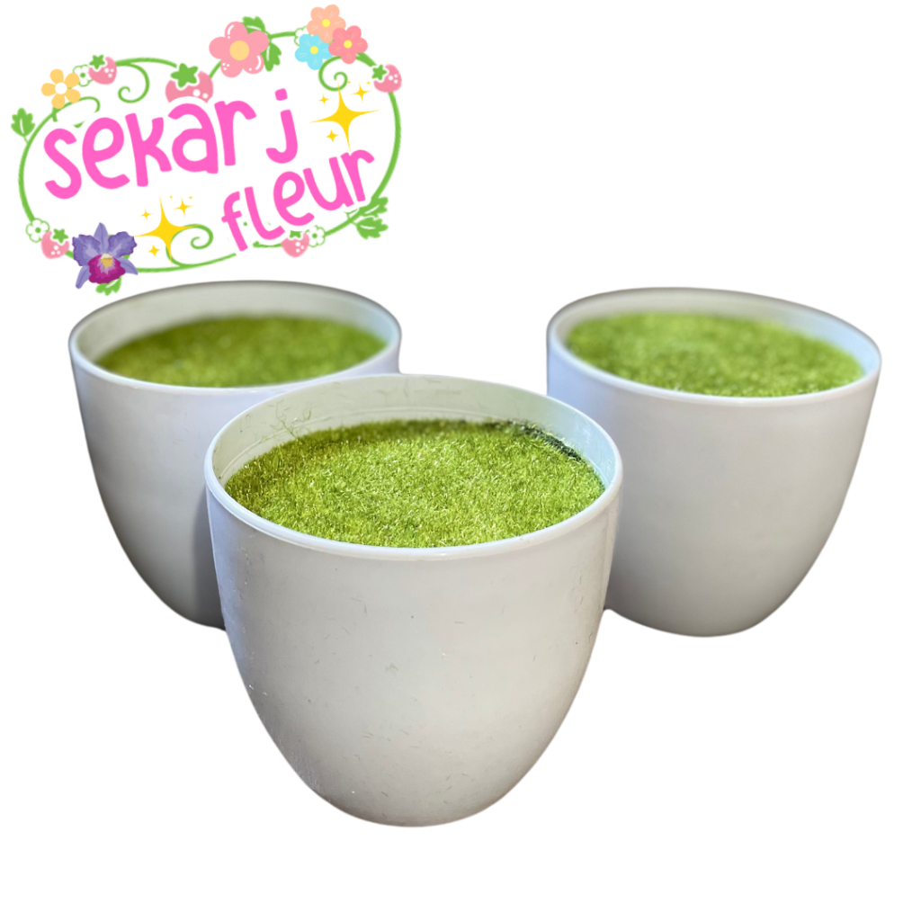 Jual POT BUNGA PLASTIK AESTETIC WARNA PUTIH BULAT DENGAN RUMPUT TABUR ...