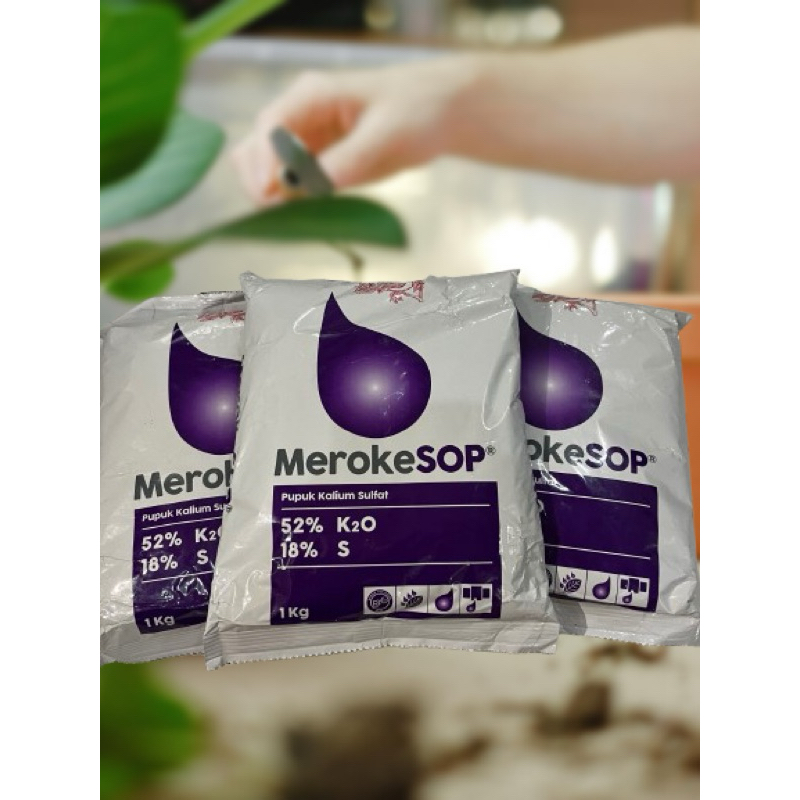 Jual Pupuk Meroke SOP Kemasan Original Pabrik @1kg | Shopee Indonesia