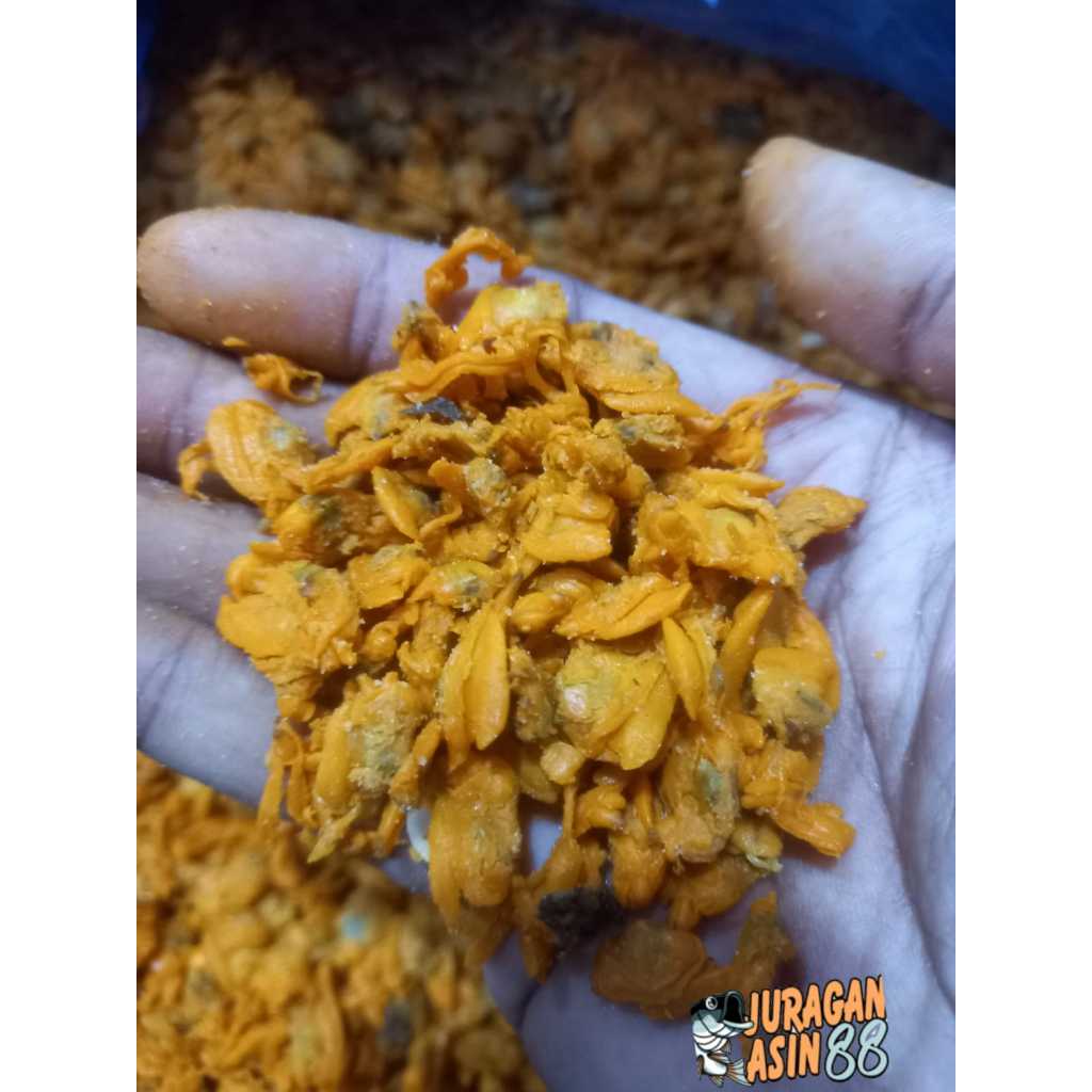 Jual COD ikan remis asin 1kg murah,kerang asin,remis asin,best seller ...