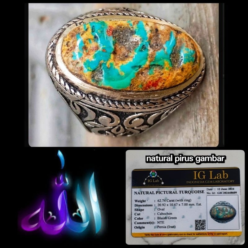Jual pirus kerikilan persian ijo daun ( asli gambar lafadz ) | Shopee ...