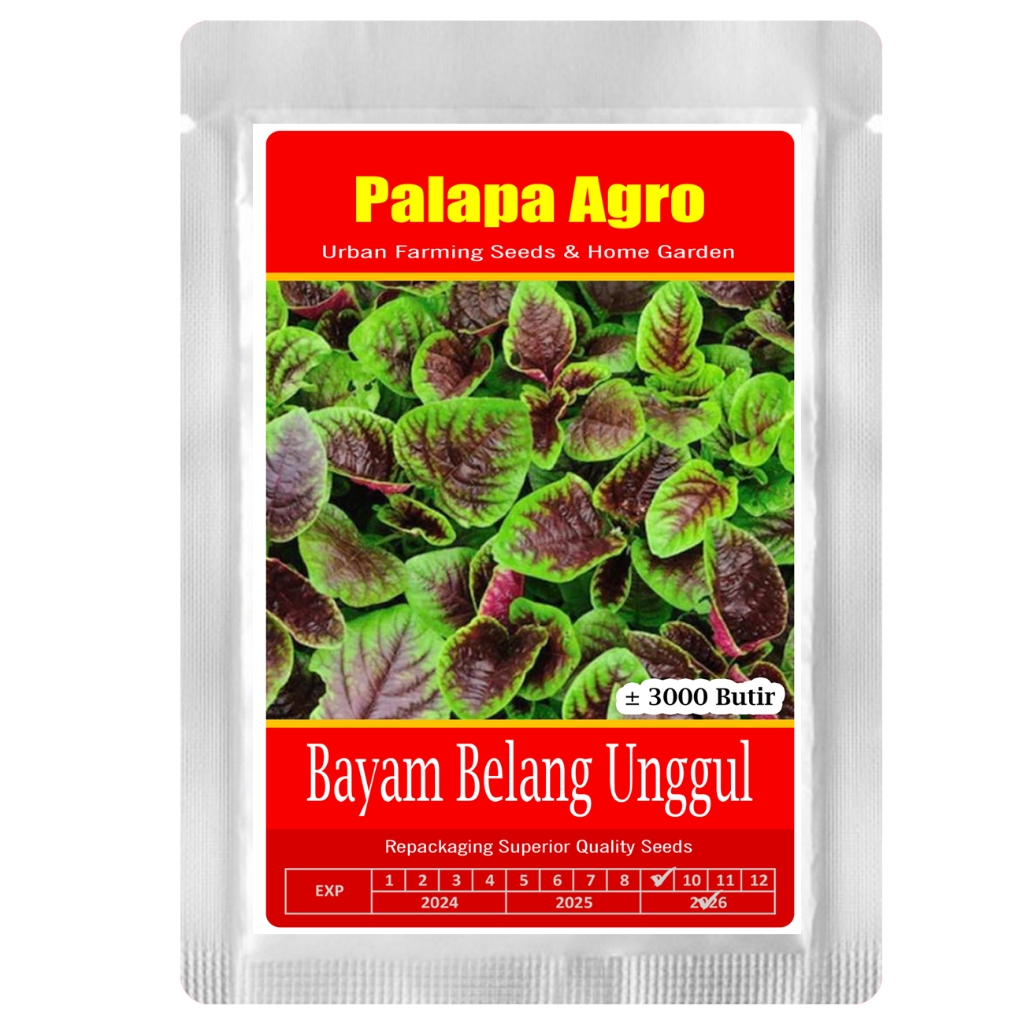 Jual Bibit Bayam Unggul - Benih Bayam Belang Unggul Isi ± 3000 Butir ...