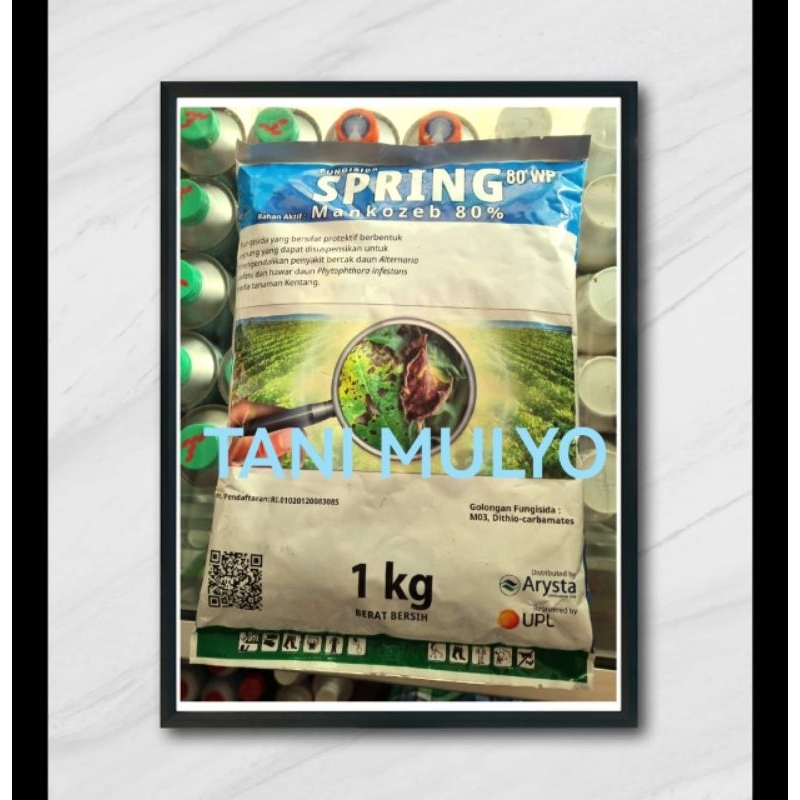 Jual FUNGISIDA SPRING 80 WP 1 KG | Shopee Indonesia