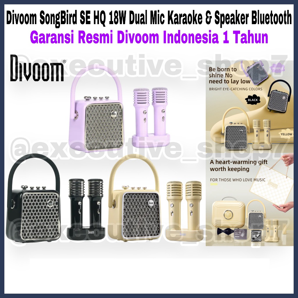 Jual Divoom SongBird SE HQ 18W Dual Mic Karaoke & Speaker Bluetooth ...