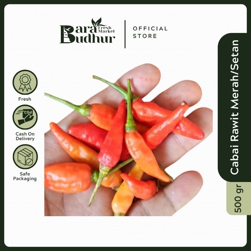 Jual Cabai Rawit Merah ORI 500 gr Lombok Cabe Setan Fresh Segar ...