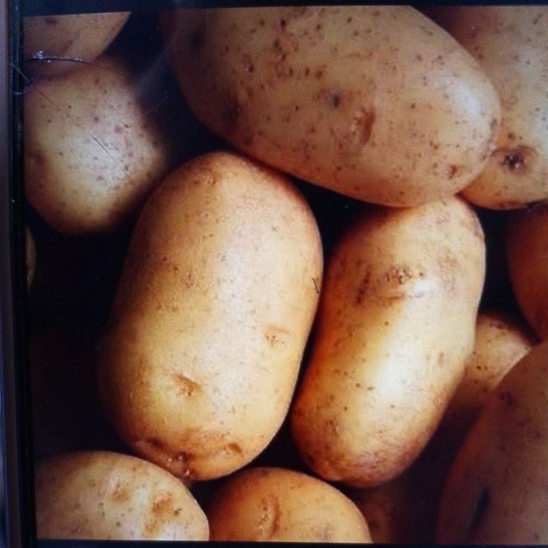 Jual Kentang kuning besar 1 kg | Shopee Indonesia