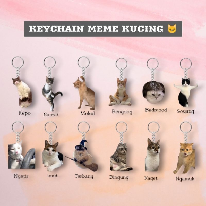 Jual Keychain Meme Kucing Viral Gantungan Kunci Acrylic / Keychain Cat ...