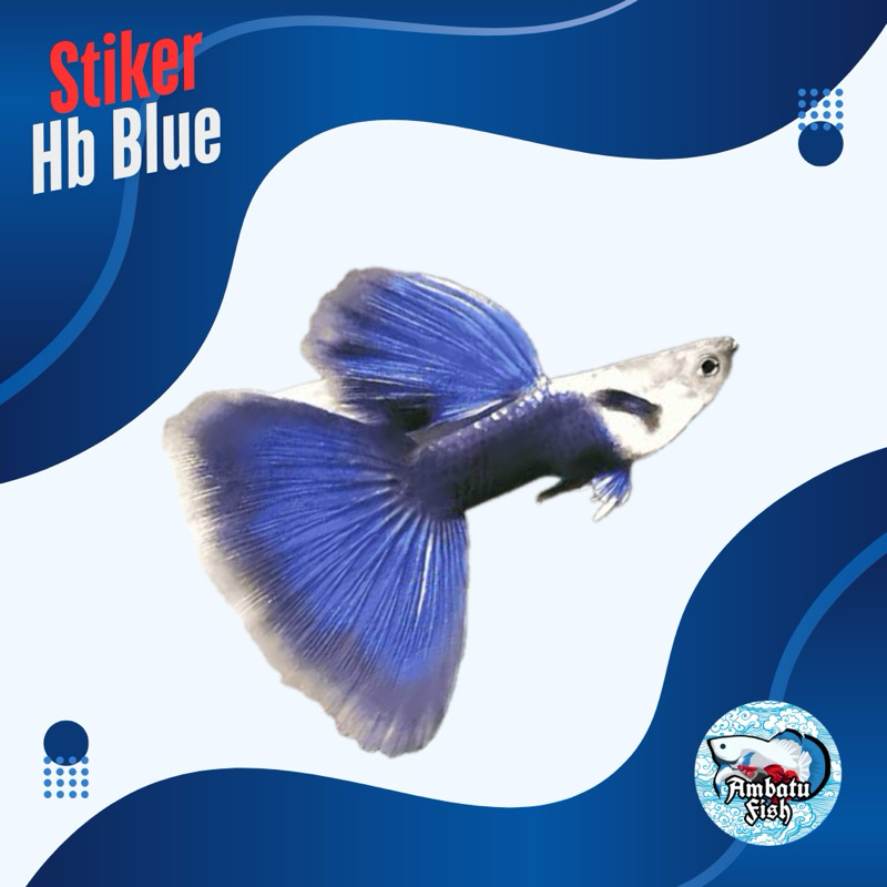 Jual Stiker premium Ikan Guppy HB Blue | Shopee Indonesia